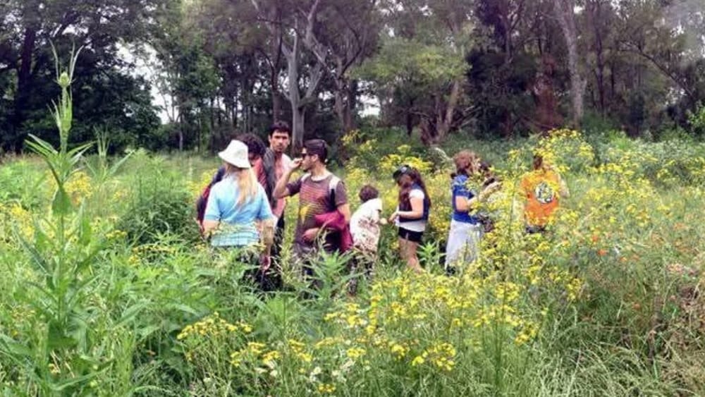 El Jardín Botánico "Arturo Ragonese" invita a participar de una jornada ...